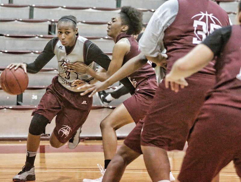 Kiana Johnson breaking records for Lady Panthers | Richmond Free Press ...
