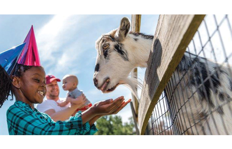 Maymont Farm to reopen with celebration Sunday | Richmond Free Press ...