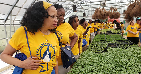 Sigma Gamma Rho Sorority Aids Dallas HBCU During International ...