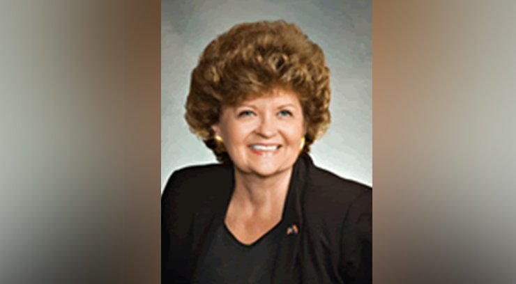 Porn tax to build border wall? Arizona lawmaker proposes bill that'd ...