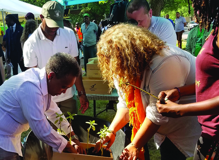 VACANT LOT BEAUTIFICATION PILOT PROGRAM LAUNCHES ON THE SOUTH AND WEST ...