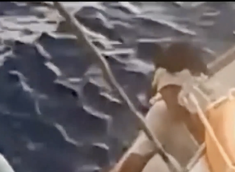 Brazilian man survives 11 days floating in freezer in the ocean ...