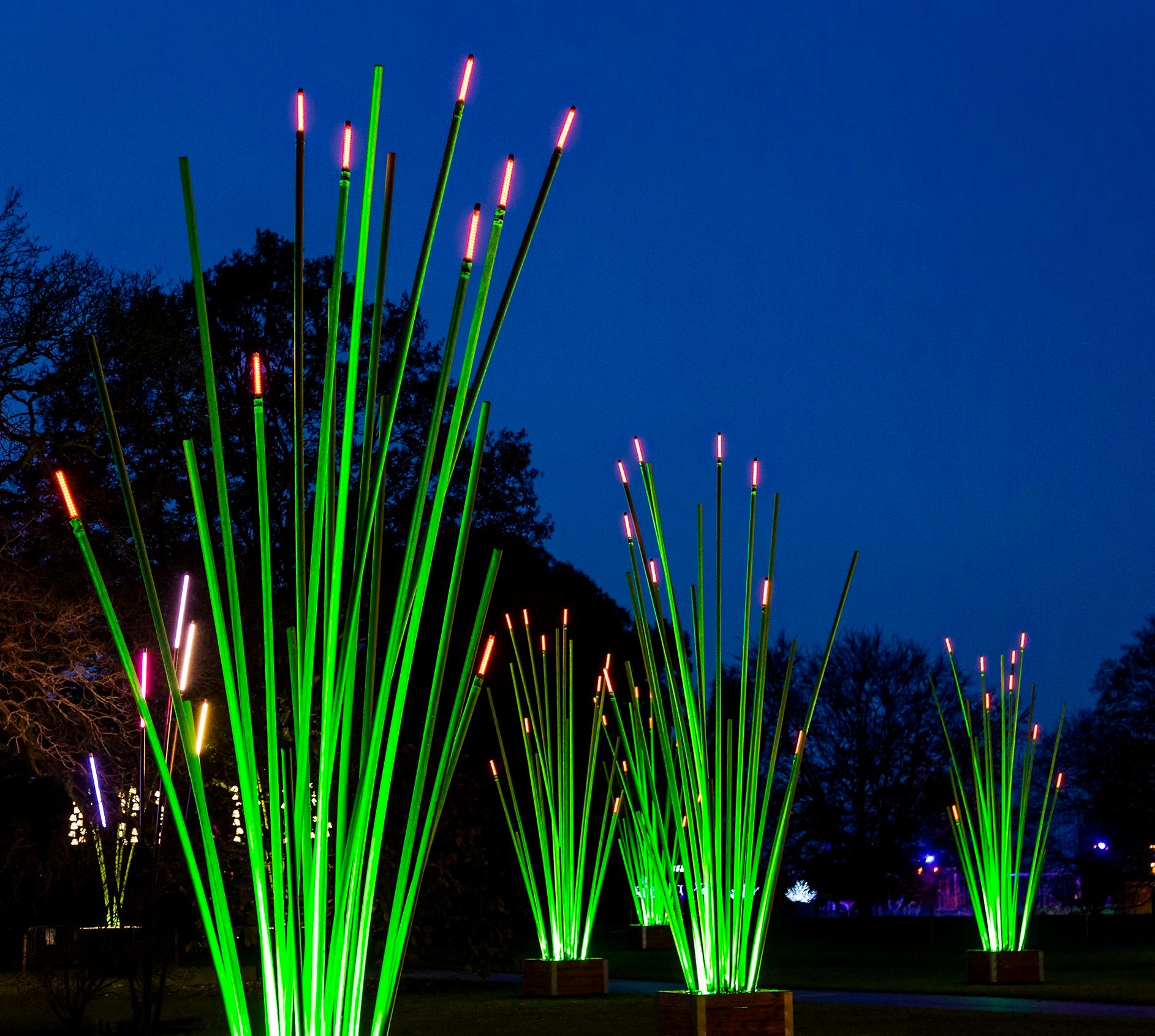 Houston Botanic Garden Set to Dazzle this Holiday Season with ...