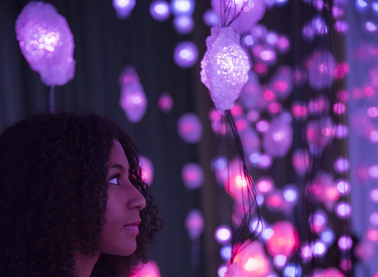 The Immersive Installations of Pipilotti Rist: Pixel Forest and Worry ...