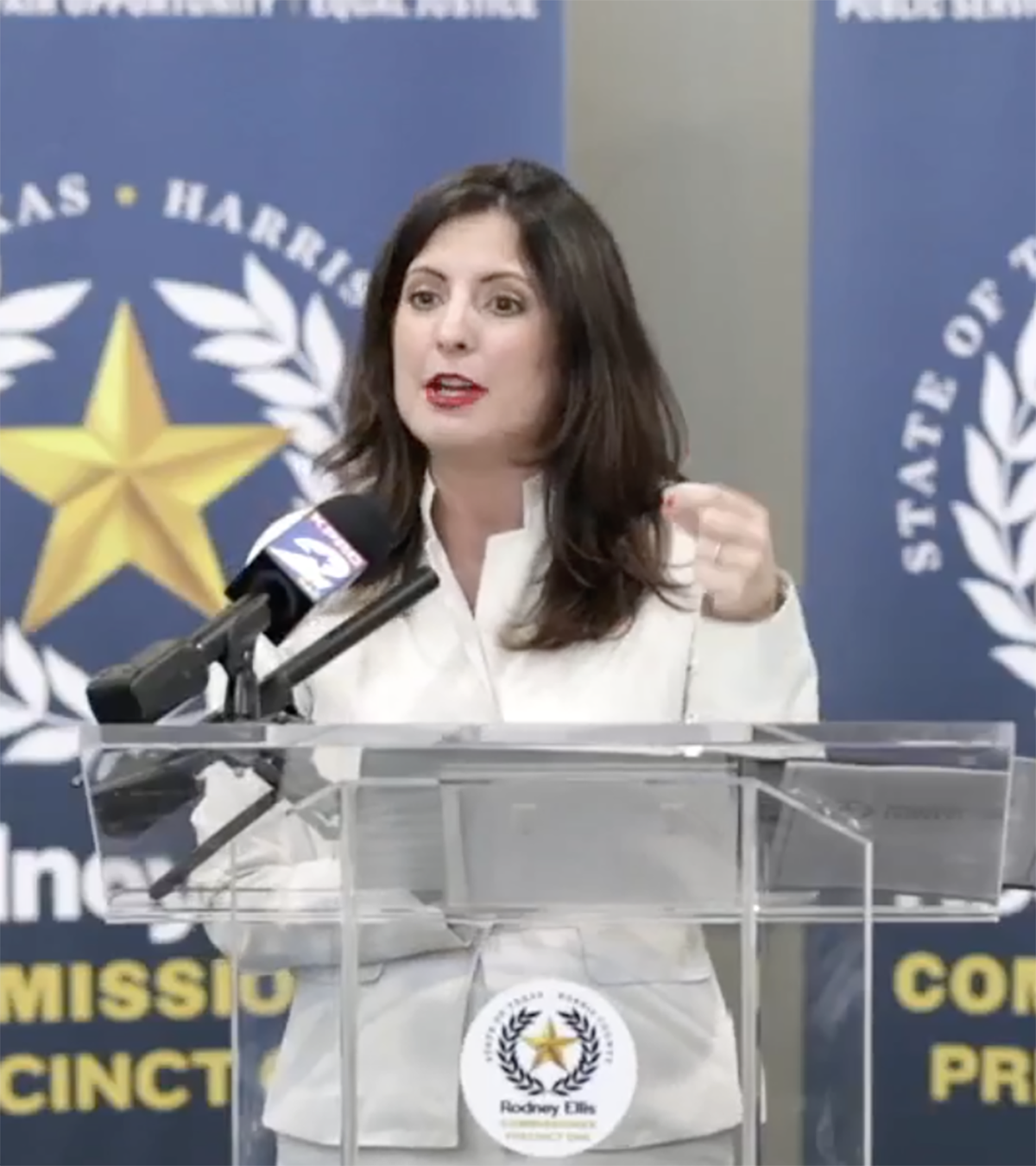 Harris County Commissioner Lesley Briones leverages $170 million for ...