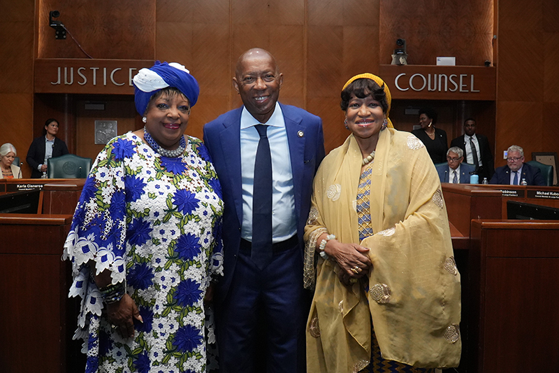 Houston Chosen as First City Outside of Africa for Diaspora African ...