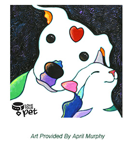 Houston PetSet and Council Member Mario Castillo Join Forces to Provide ...