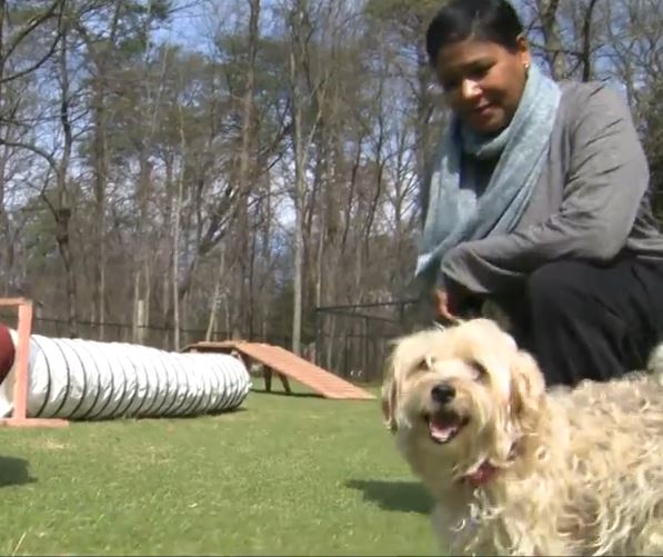 Senior Dog Sanctuary in Severn provides comfort, home for older dog ...