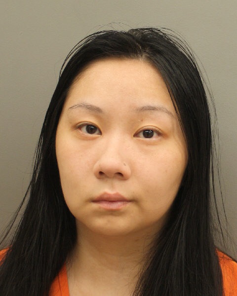 Houston Nurse Loses License and Faces Jail Time for Drug Theft: A ...