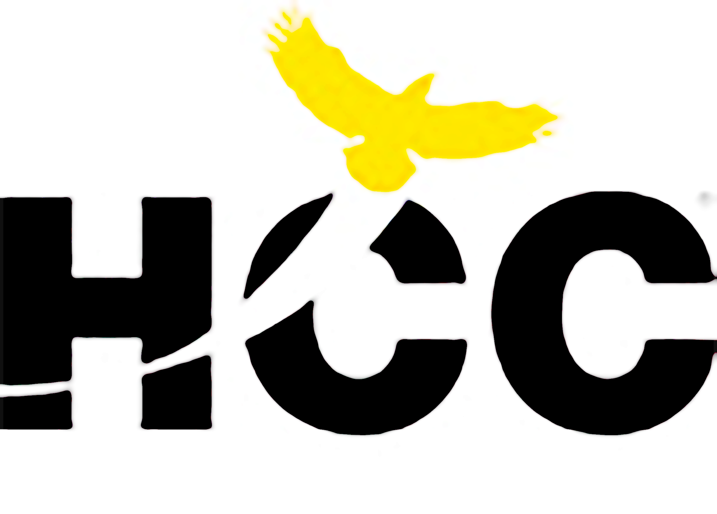 Houston City College – Northwest: Building Pathways, Shaping Futures in ...